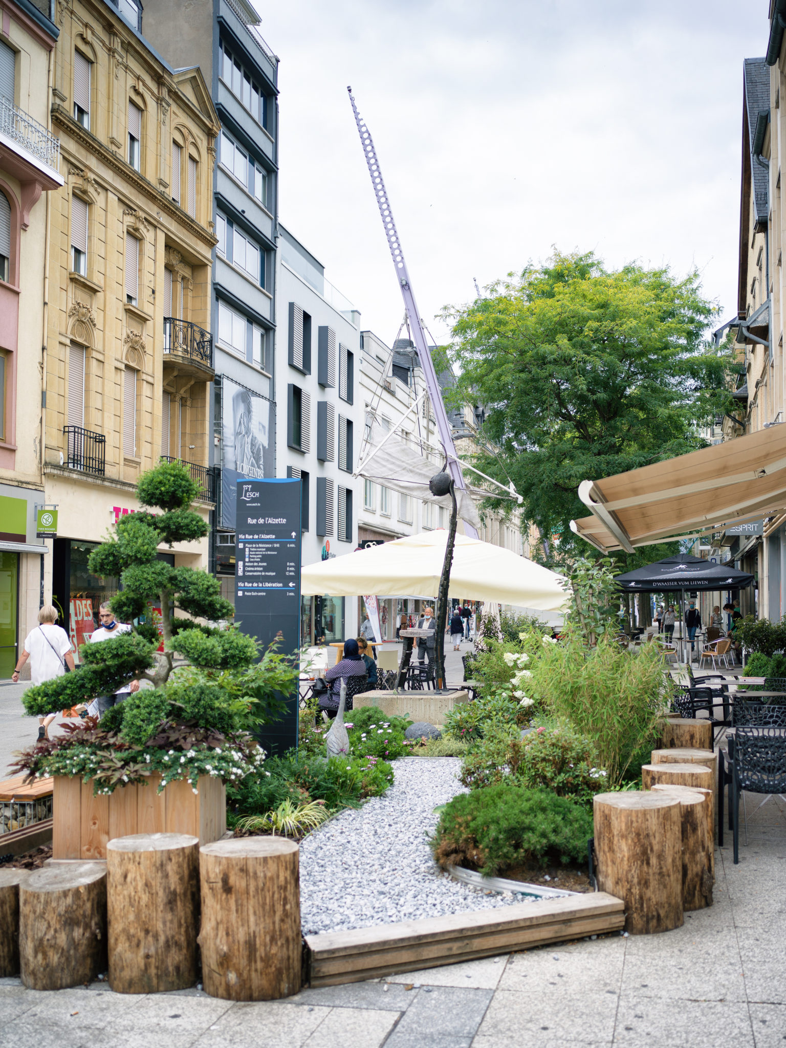 Intro et contact - Esch Administration